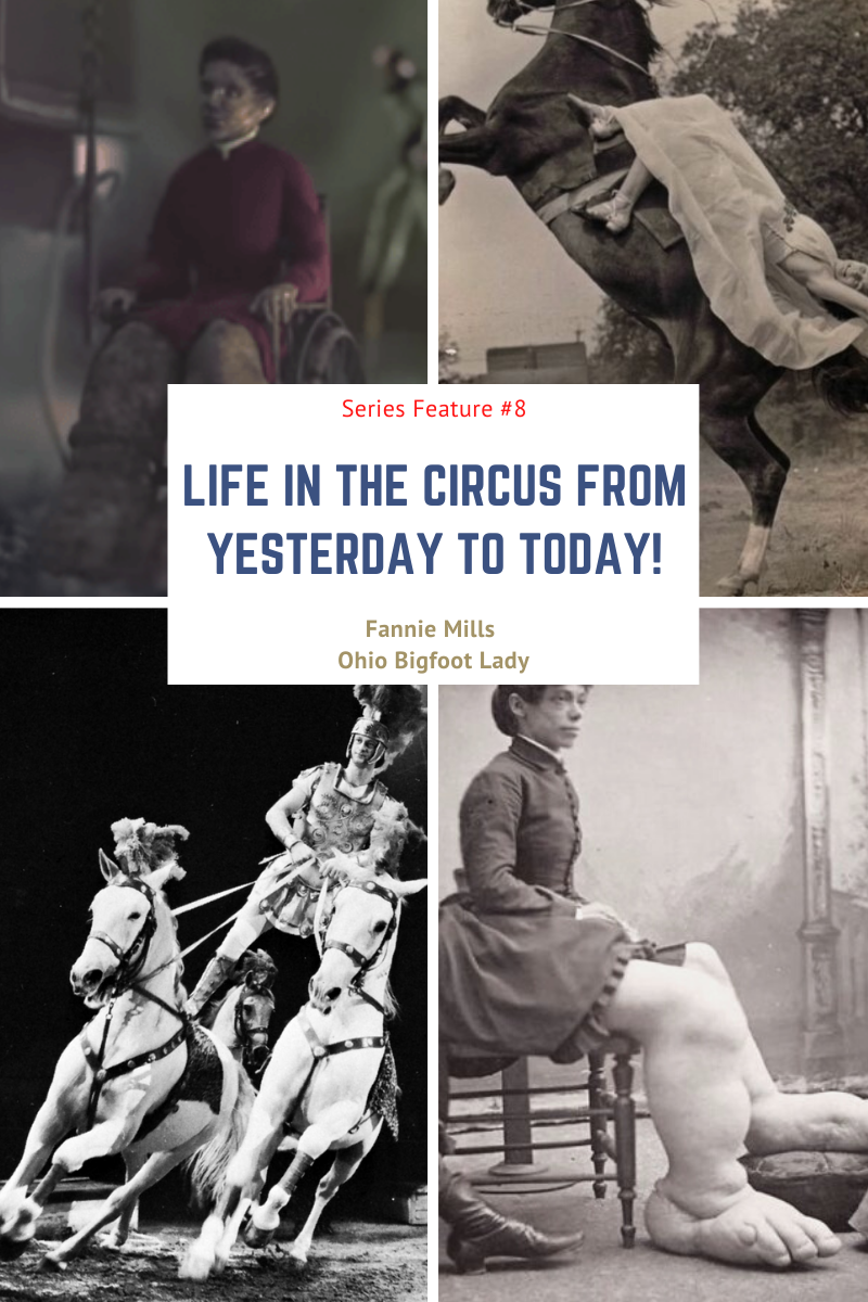 Series Feature #8 – Life in The Circus From Yesterday to Today ...